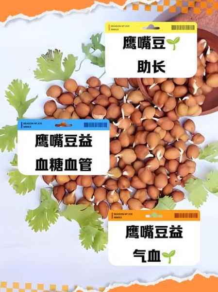鹰嘴豆的功效与作用禁忌_鹰嘴豆怎么吃不上火-第3张图片-山城妙识