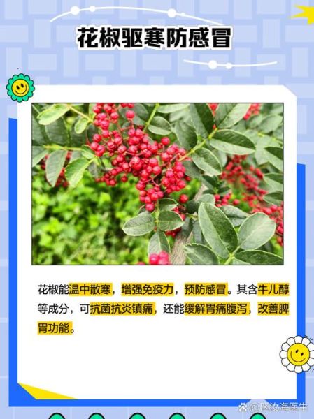 花椒加什么通便_花椒加一物三天排出5斤大便-第1张图片-山城妙识