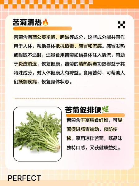 苦菊什么人不能吃_苦菊禁忌人群-第2张图片-山城妙识