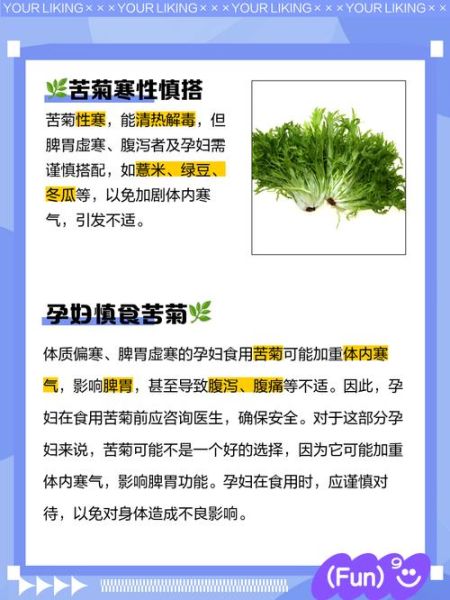 苦菊什么人不能吃_苦菊禁忌人群-第3张图片-山城妙识