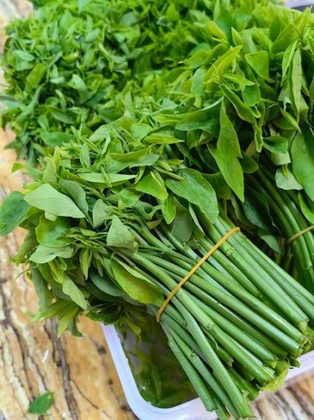 茼蒿图片怎么拍_茼蒿高清图哪里找-第3张图片-山城妙识