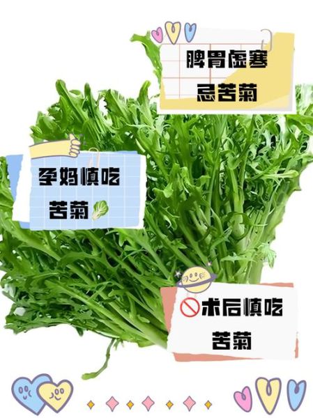 苦菊什么人不能吃_苦菊禁忌人群-第1张图片-山城妙识