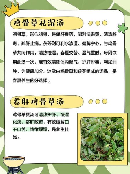 鸡骨草赤小豆薏米煲猪骨汤的功效_孕妇能喝吗-第1张图片-山城妙识