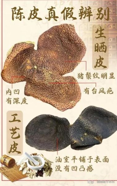 陈皮是什么皮_陈皮和橘子皮区别-第2张图片-山城妙识