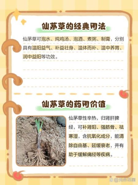 仙茅的功效与作用是什么_仙茅主治哪些疾病-第2张图片-山城妙识