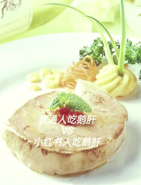 鹅肝禁忌人群_什么人不适宜吃鹅肝-第1张图片-山城妙识