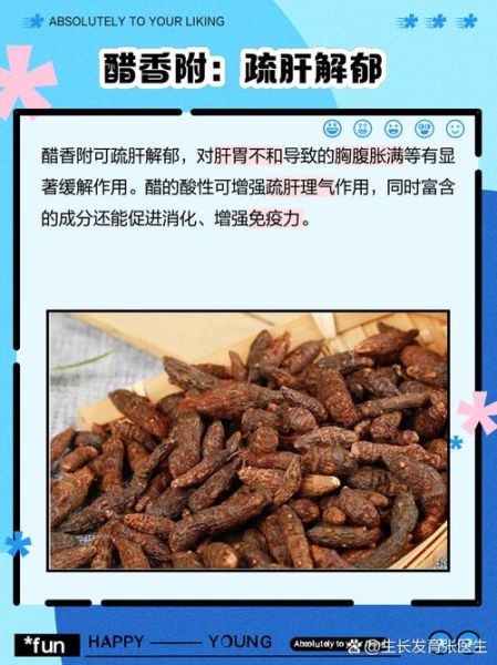 醋香附的功效与作用_醋香附怎么服用-第1张图片-山城妙识