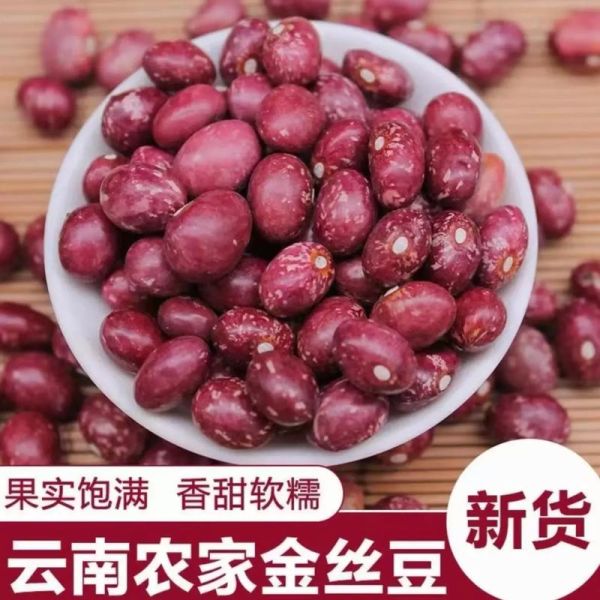 金丝豆的功效与作用_金丝豆怎么吃效果最好-第3张图片-山城妙识