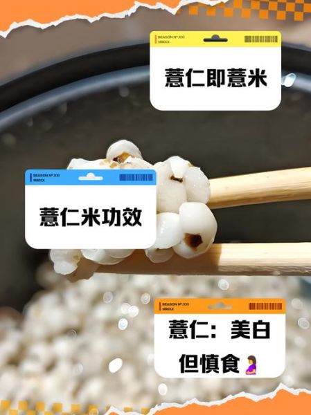 薏米不能和大米一起煮吗_为什么薏米不能和大米同煮-第3张图片-山城妙识