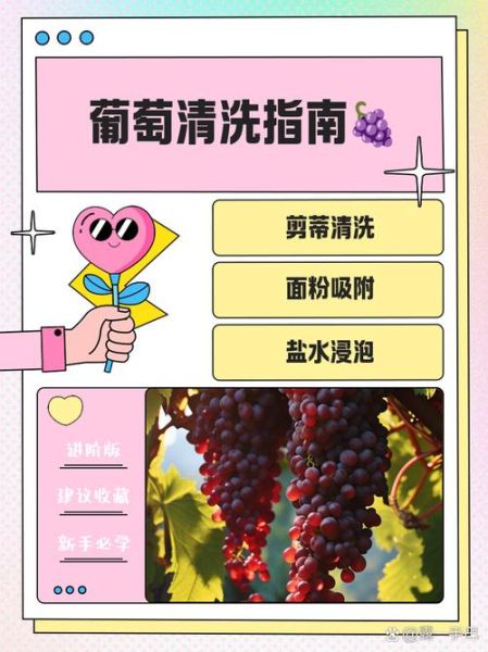 葡萄汁怎么洗掉_葡萄汁干了怎么洗-第1张图片-山城妙识
