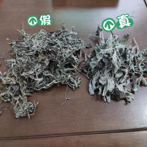 真艾叶和假艾叶的区别_如何辨别真假艾叶-第1张图片-山城妙识