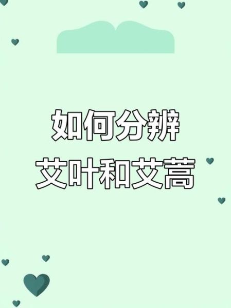 真艾叶和假艾叶的区别_如何辨别真假艾叶-第2张图片-山城妙识
