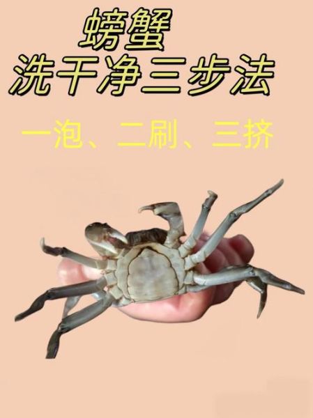 如何清洗螃蟹才干净_螃蟹清洗步骤-第1张图片-山城妙识