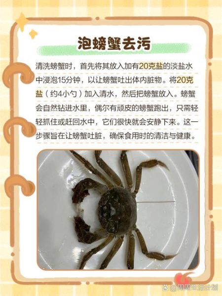 如何清洗螃蟹才干净_螃蟹清洗步骤-第2张图片-山城妙识