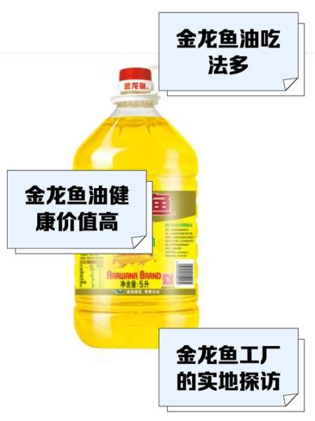 金龙鱼油哪种好_金龙鱼油价格表-第1张图片-山城妙识