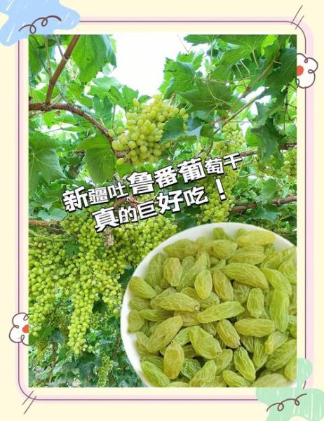 葡萄干怎么吃_葡萄干一天吃多少粒-第1张图片-山城妙识
