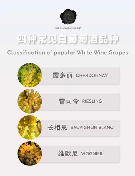喝白葡萄酒有什么好处_白葡萄酒的功效与作用-第3张图片-山城妙识