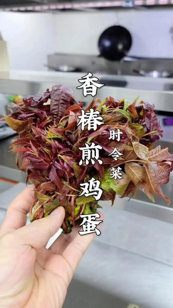 香椿炒鸡蛋香椿用烫吗_焯水多久合适-第1张图片-山城妙识