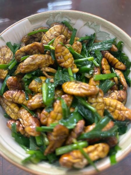 韭菜炒蚕蛹怎么炒_蚕蛹炒韭菜的家常做法-第1张图片-山城妙识