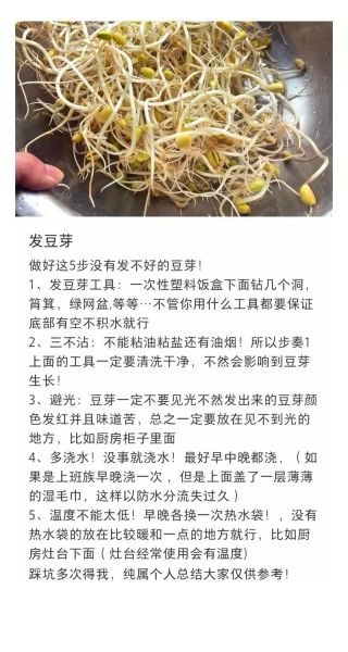黄豆芽怎么发最快_怎样发黄豆芽又粗又嫩-第1张图片-山城妙识