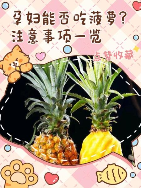 怀孕可以吃菠萝吗_孕妇吃菠萝注意事项-第2张图片-山城妙识
