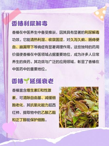 香椿的功效与副作用_哪些人不能吃-第2张图片-山城妙识