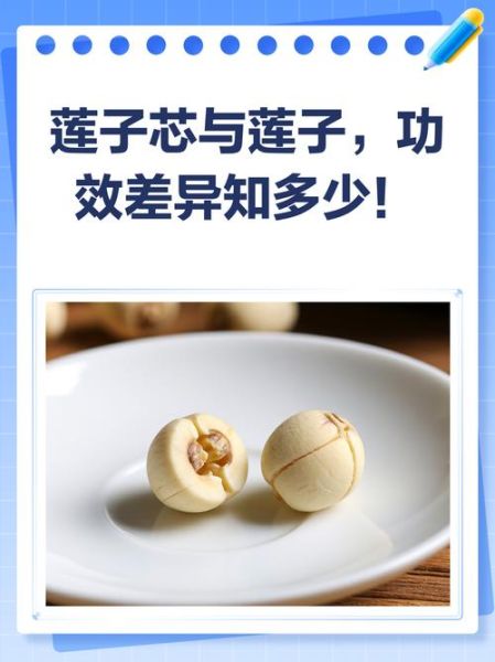 莲子芯要不要吃掉_莲子芯能吃吗-第3张图片-山城妙识
