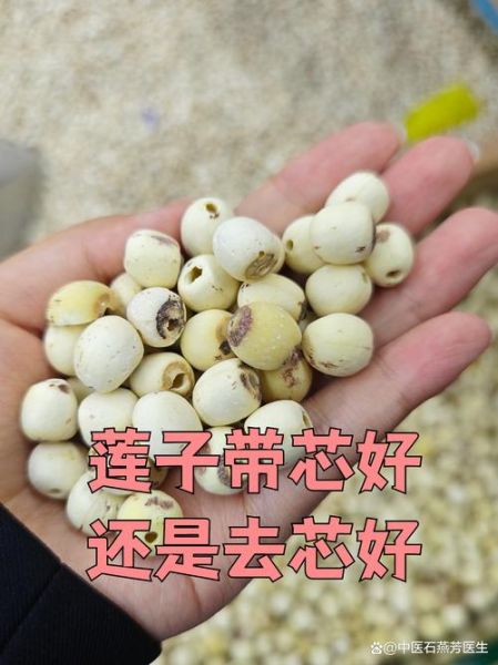 莲子芯要不要吃掉_莲子芯能吃吗-第2张图片-山城妙识