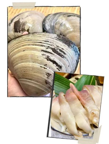 北极贝是生的还是熟的_北极贝刺身安全吗-第1张图片-山城妙识