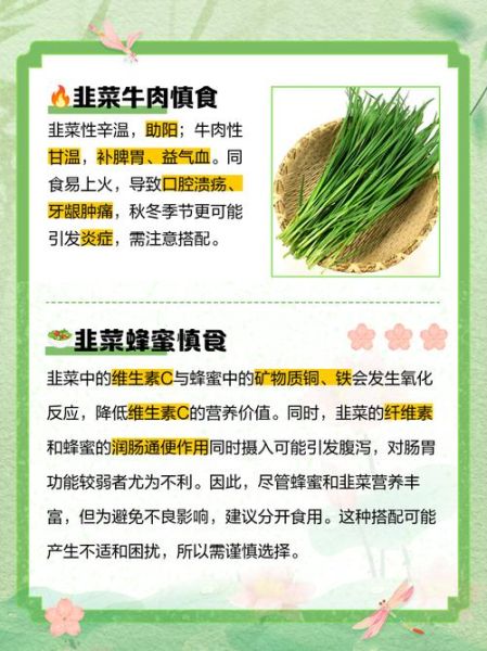 韭菜不能和什么一起吃_韭菜相克食物有哪些-第1张图片-山城妙识