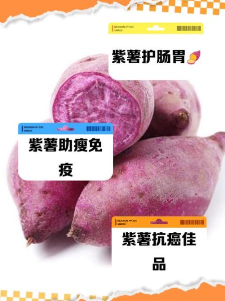 紫红薯的功效与作用_紫红薯能减肥吗-第2张图片-山城妙识