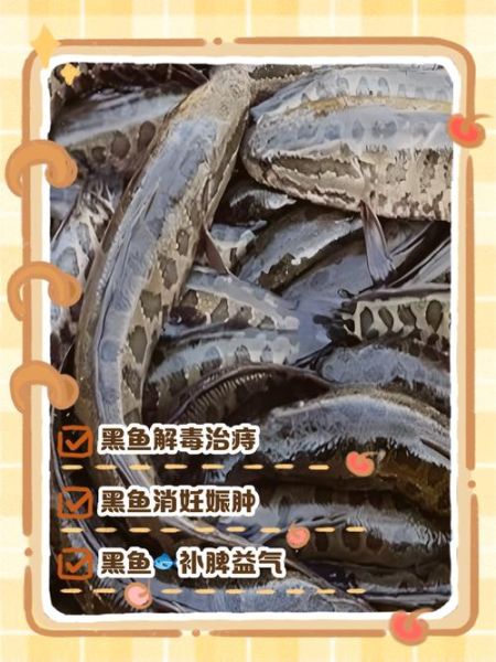 野生黑鱼怎么做好吃_野生黑鱼的家常做法-第1张图片-山城妙识