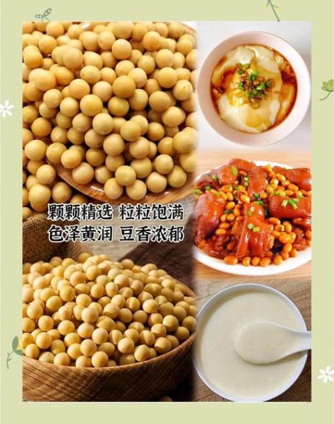 油焖黄豆怎么做_油焖黄豆要泡多久-第2张图片-山城妙识