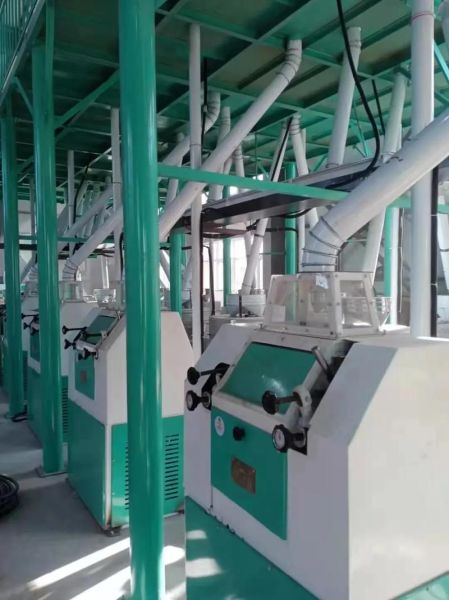 全自动粉条加工设备多少钱一套_全自动粉条加工设备哪家好-第1张图片-山城妙识