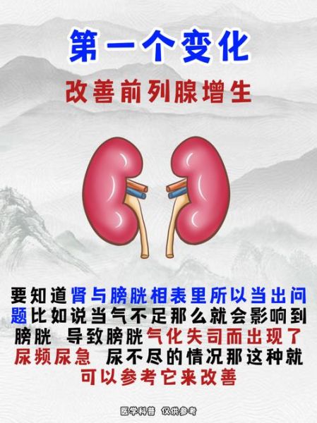 补肾气吃什么药最好_肾虚怎么调理最快-第2张图片-山城妙识