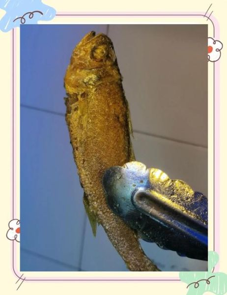 怎样煎小黄花鱼好吃_小黄花鱼怎么煎不碎-第2张图片-山城妙识 怎样煎小黄花鱼好吃_小黄花鱼怎么煎不碎-第2张图片-山城妙识