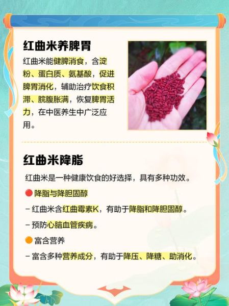 红曲米不能和什么一起吃_红曲米禁忌人群有哪些-第3张图片-山城妙识