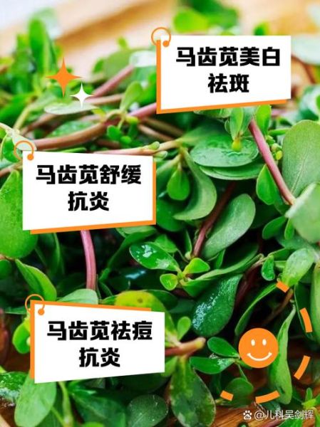 马齿苋敷脸过敏怎么办_马齿苋敷脸越敷越厉害原因-第1张图片-山城妙识 马齿苋敷脸过敏怎么办_马齿苋敷脸越敷越厉害原因-第1张图片-山城妙识