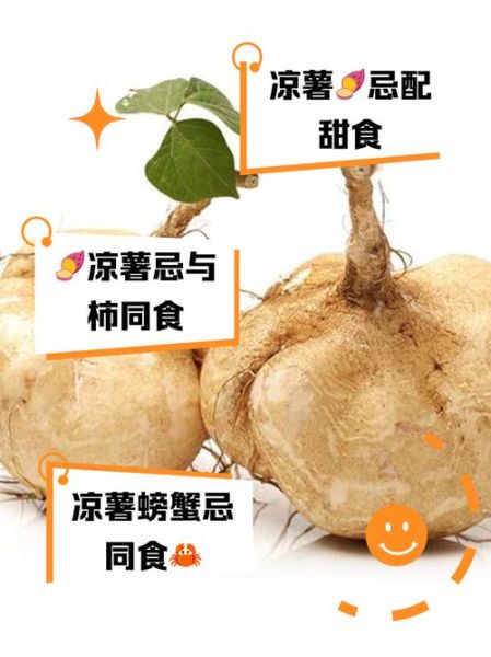 凉薯可以生吃吗_生吃凉薯的注意事项-第1张图片-山城妙识