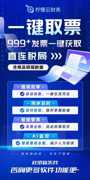柠檬云财税怎么注册_柠檬云财税收费吗-第2张图片-山城妙识 柠檬云财税怎么注册_柠檬云财税收费吗-第2张图片-山城妙识