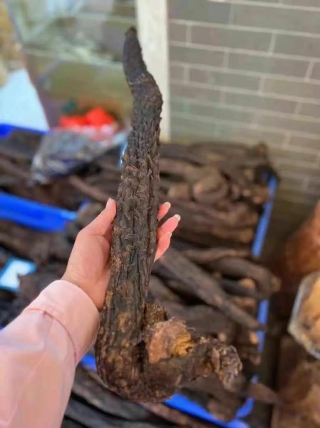 肉苁蓉怎么吃壮阳效果最好_肉苁蓉壮阳最佳食用方法-第3张图片-山城妙识