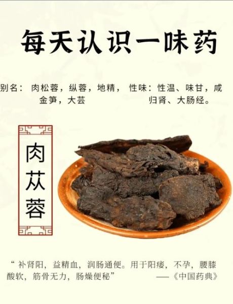 肉苁蓉怎么吃壮阳效果最好_肉苁蓉壮阳最佳食用方法-第1张图片-山城妙识