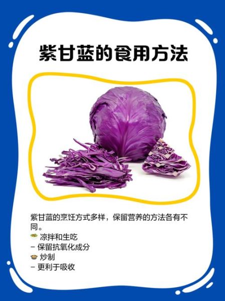 紫甘蓝的营养价值_紫甘蓝的功效与作用-第2张图片-山城妙识
