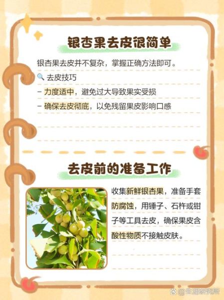 银杏果怎么去皮最简单_银杏果去皮最快方法-第1张图片-山城妙识