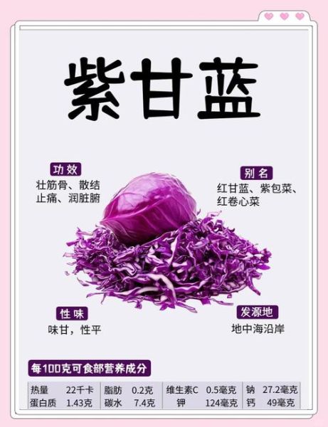 紫甘蓝的营养价值_紫甘蓝的功效与作用-第1张图片-山城妙识
