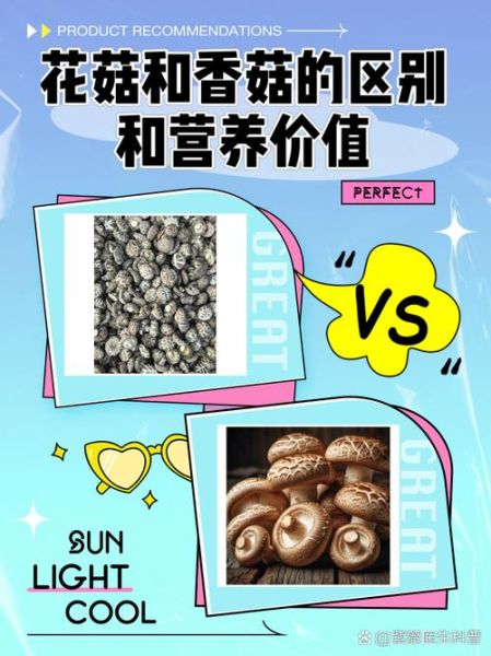 香菇和花菇哪个营养好_区别与功效对比-第1张图片-山城妙识