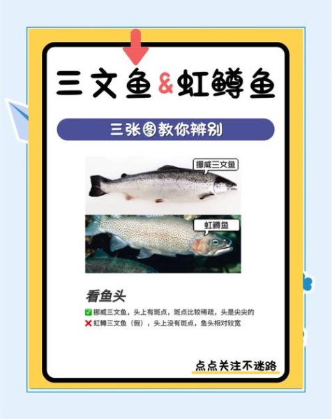 虹鳟鱼和三文鱼营养区别_哪个更适合减脂-第2张图片-山城妙识