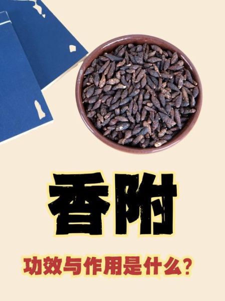 香附的副作用有哪些_香附毒性大吗-第1张图片-山城妙识