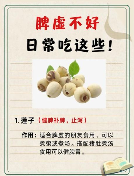 补脾的食物有哪些_脾虚吃什么食物好得快-第1张图片-山城妙识 补脾的食物有哪些_脾虚吃什么食物好得快-第1张图片-山城妙识