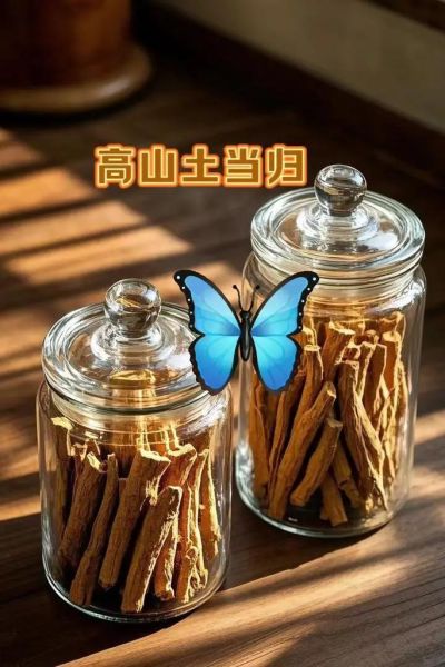 野生土当归长什么样_野生土当归和家种区别-第3张图片-山城妙识
